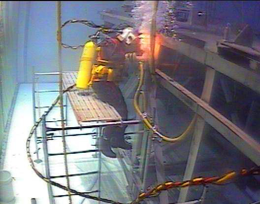 Nuclear – Compliance and Inspection Services | MISTRAS Group