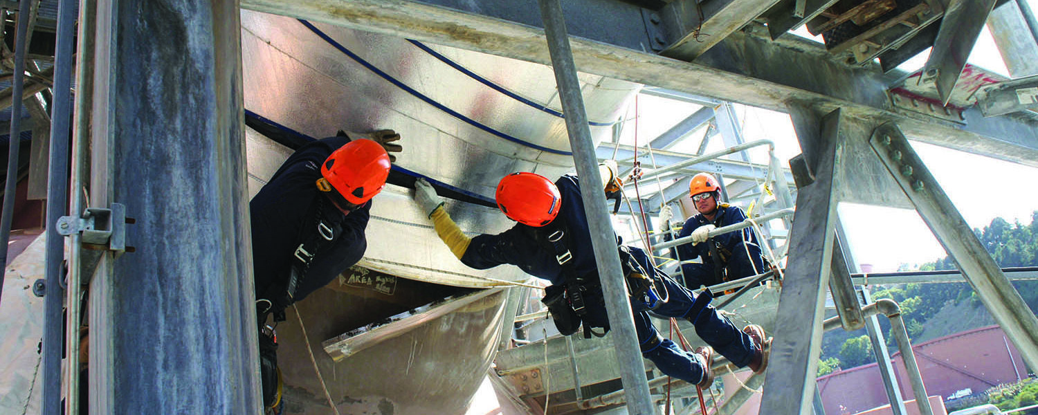 How We Help – Asset Protection Specialties | MISTRAS Group