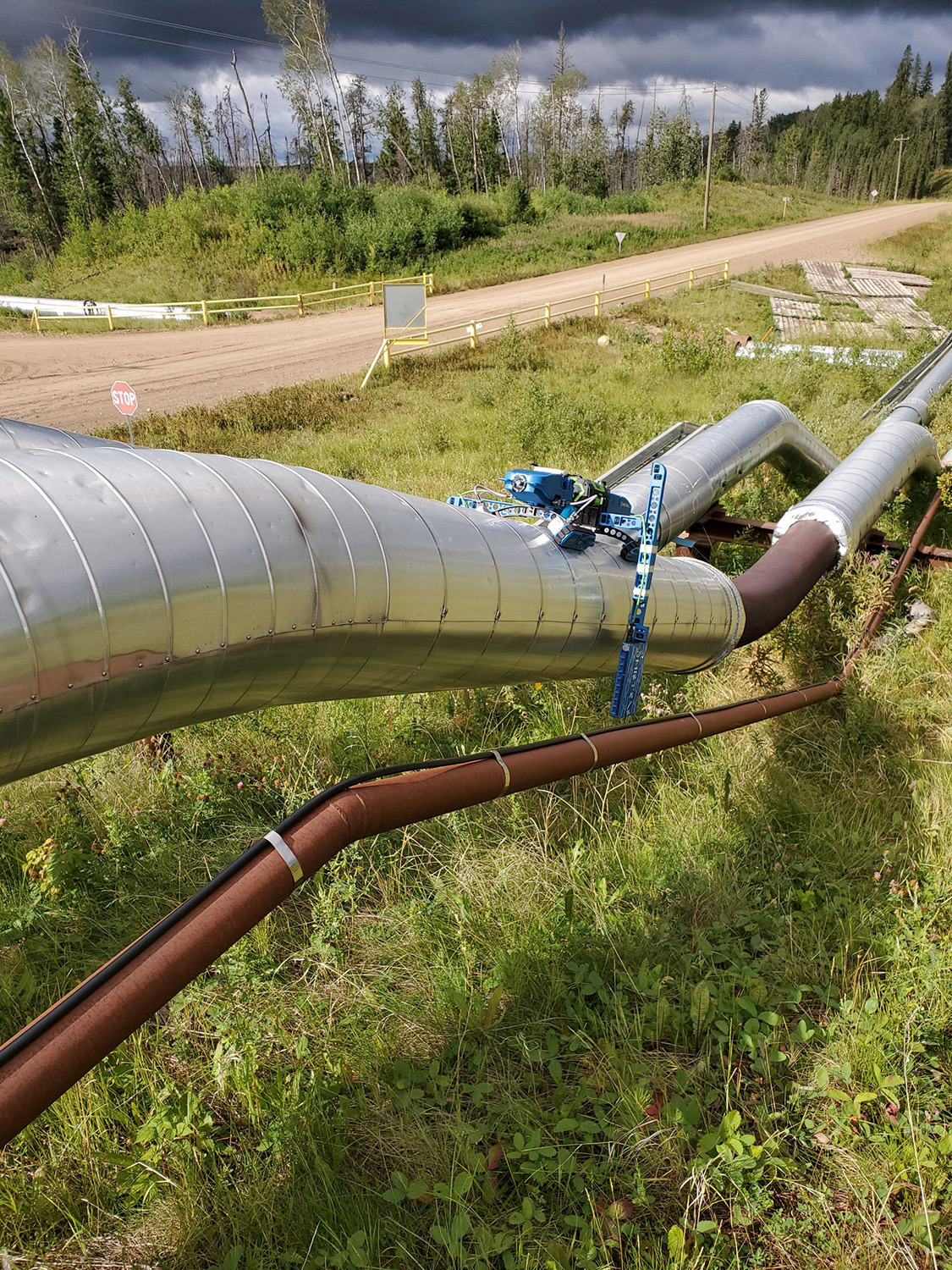 ART Crawler – Robotic CUI Screening Services | MISTRAS Group